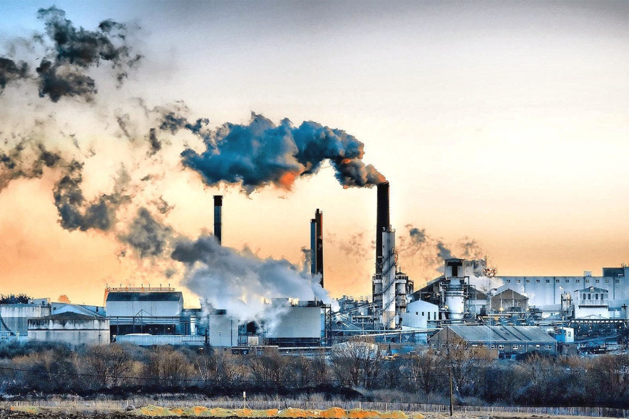 Reducing pollution of every kind.|Stop Global Destruction